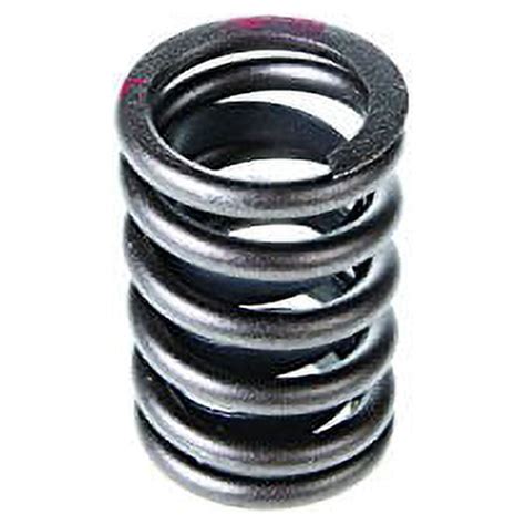 Ford F100 Engine Valve Spring