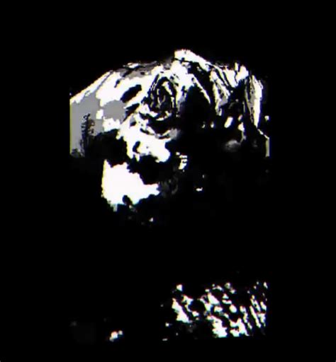 What Is This In Graveyard Shift At Freddys Rfivenightsatfreddys