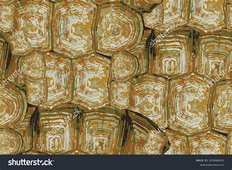 Turtle Shell Seamless Pattern Suitable Fabric Stock Vector Royalty