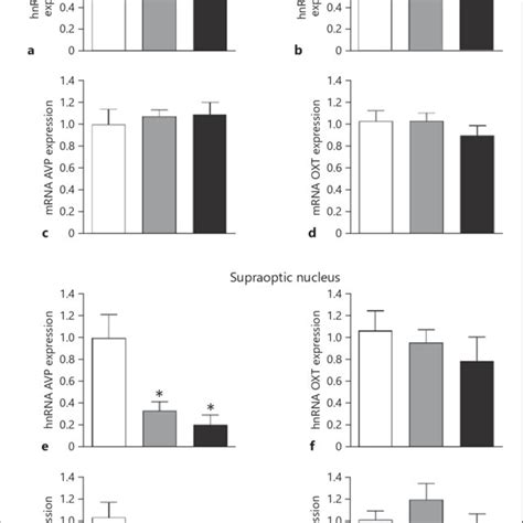 Avp And Oxt Gene Expression In The Pvn And Son Nucleus After 24 H Of