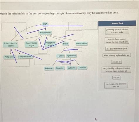 Solved Match The Relationship To The Best Corresponding