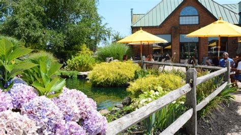 10 Long Island Wineries Just A Short Trip From New York City Playbill
