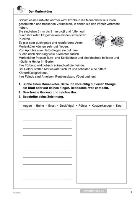 Grundschule Unterrichtsmaterial Sachunterricht Natur Und Leben