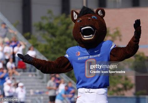 Bronco Mascot Photos And Premium High Res Pictures Getty Images