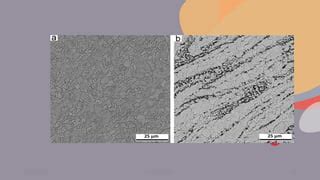 Lecture Physical Properties Of Materials PDF
