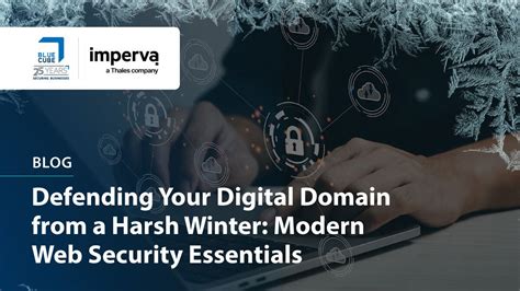 Cybersecurity Applicationsecurity Apisecurity Ddos Imperva Blue Cube Security Ltd