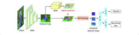 Faster R CNN Structure The Feature Map Is Extracted By A Download Scientific Diagram