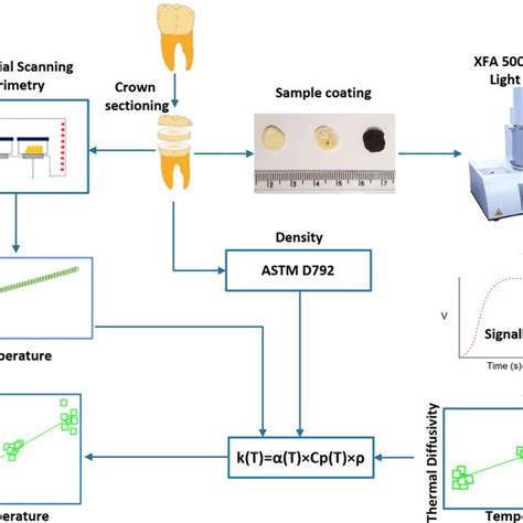 Schematic View Of The Experimental Method For Measurement Of Thermal Download Scientific