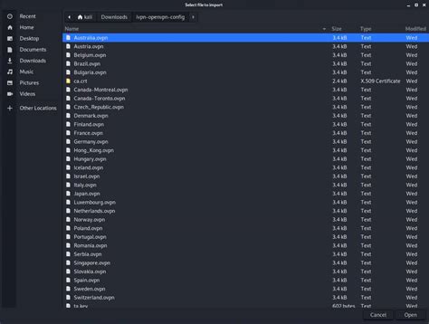 How To Set Up An OpenVPN Connection In Kali Linux