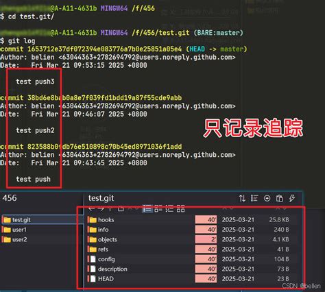 Git 裸仓库：局域网仓库共享 局域网内git共享仓库办法 Csdn博客