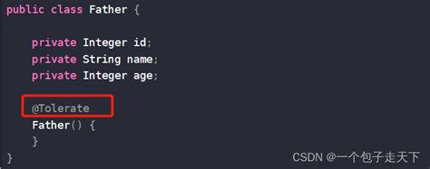使用 builder注解的坑 csdn博客