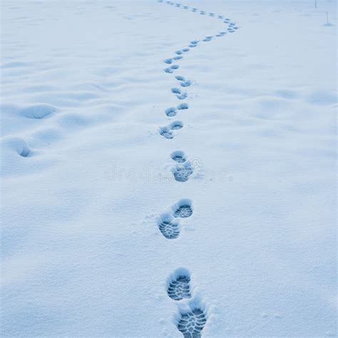 A Series Of Footprints In The Snow Forming A Winding Trail Across A