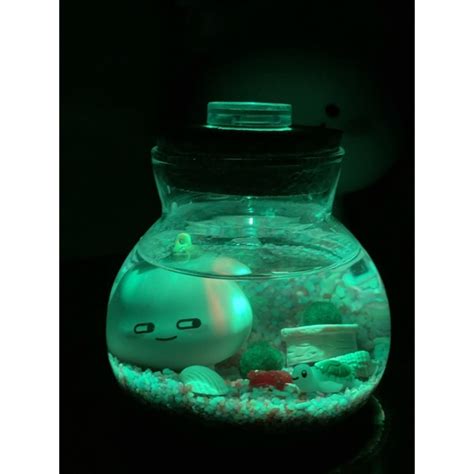 Quby Waterworld Diy Marimo Set T For Friends Couple 乖巧宝宝下海记 Shopee Malaysia