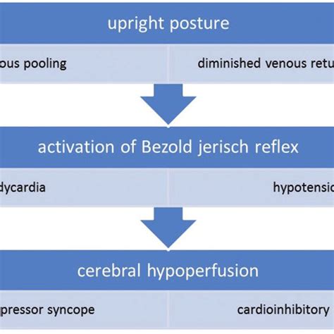 Classification Of Syncope 1 Reflex Syncope Neurally Mediated