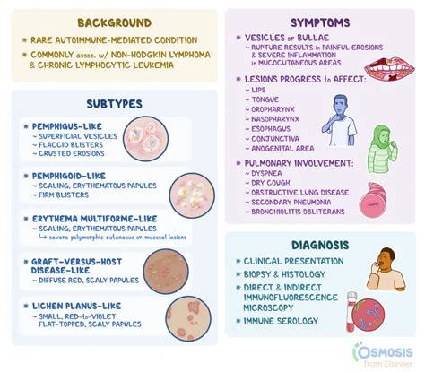 Paraneoplastic Pemphigus What Is It Causes Treatment And More Osmosis
