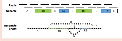 Figure 1 From Theoretical Analysis Of Sequencing Bioinformatics