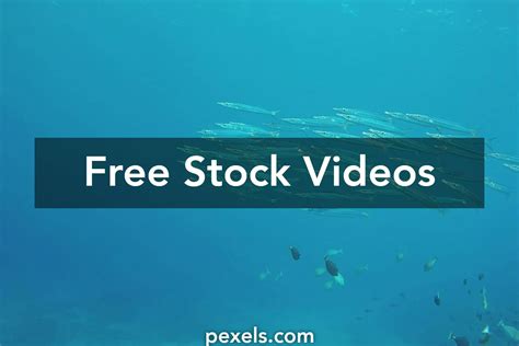 Indianschoolgirlsxxxxx Videos Download The Best Free 4k Stock Video