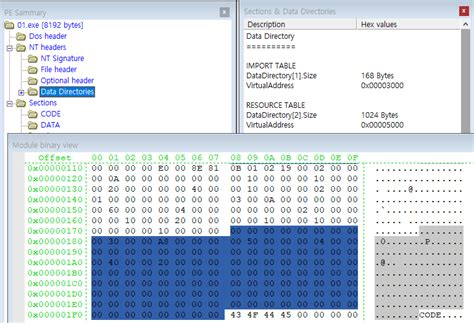pe32의 iat에대해 kangssu s programming world