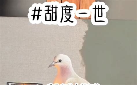 我发现我能看到别人倒计时时间宗门内几乎所有人寿命都是9125起初还以为是有灭门之灾于是我拼命修炼直到五年前 Salesi 小说 哔哩哔哩视频