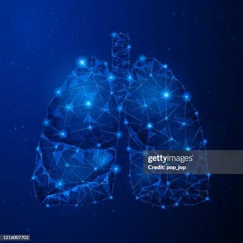 Human Lungs Background Photos And Premium High Res Pictures Getty Images