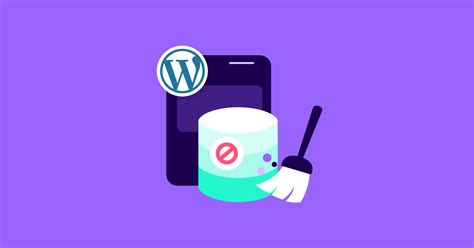 Complete Wordpress Database Cleanup 2024 Guide Plugins