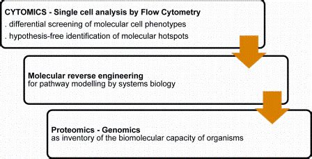 High Dimensional Flow Cytometry Comes Of Age