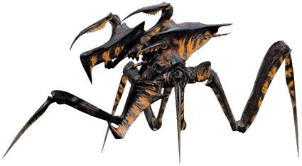 Some Aliens Are Depicted As Inhuman This Is A Highly Developed Bug