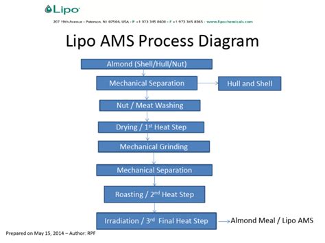 1356 1113902 Lipo Ams Process Diagram Pdf