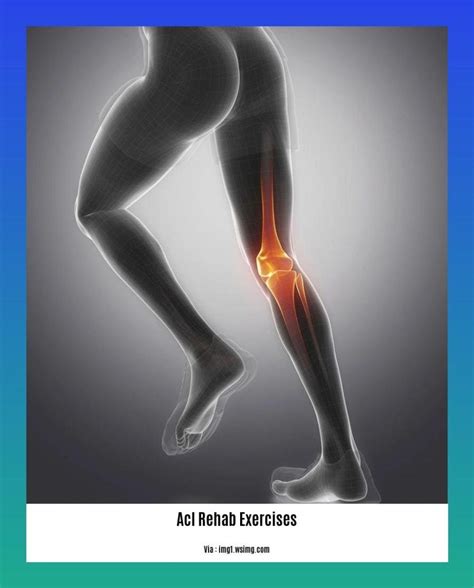 A Comprehensive Guide To ACL Rehab Exercises Regain Strength Stability And Mobility Wave Sold