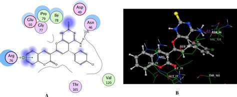 2d And 3d Binding Patterns Of 5 A B With The Active Site Of Dna