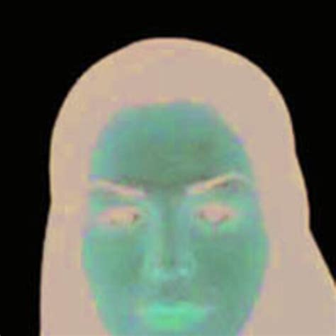 Nasrin Ramezani Expert Alzahra University Tehran Department Of