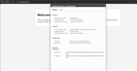 How To Install An Ssl Certificate On Nginx Ubuntu Manually Or Automatically