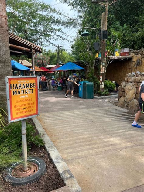 Photos Construction Walls Down Around Harambe Market Path Overhead
