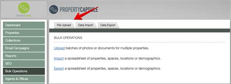 Bulk File Upload PropertyCapsule