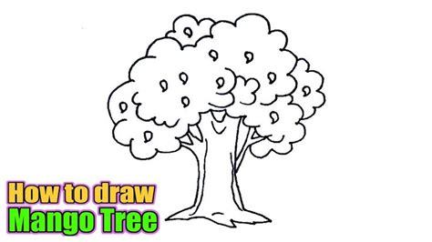 How To Draw A Mango Tree Sketch Of Mango Tree Easy Step By Step Tree Drawing Tree