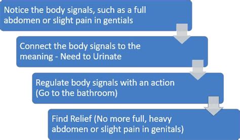 Interoception And Toileting Kelly Mahler