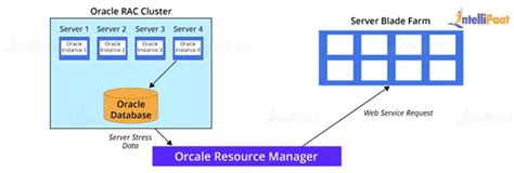 Top 50 Oracle Dba Interview Questions And Answers 2025