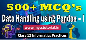 Class Informatics Practices Data Handling Using Pandas I NCERT Solution My CS Tutorial