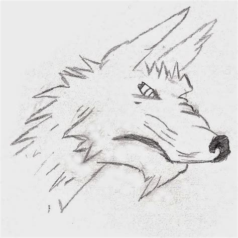 Marc Baqués Youtube