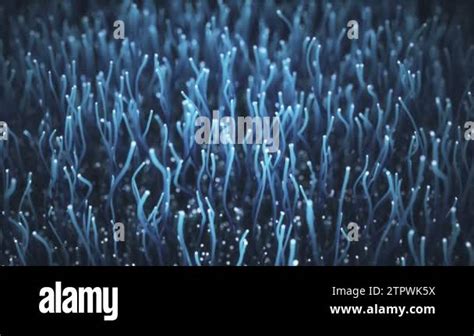 Signal Diode Stock Videos And Footage Hd And 4k Video Clips Alamy