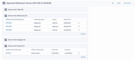 Version Service Api Versioning On Milestone Status Certinia For