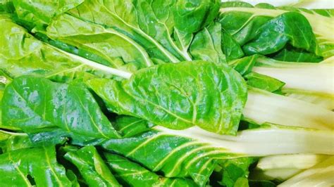Step Aside Kale Its Time To Start Embracing Mustard Greens Instead