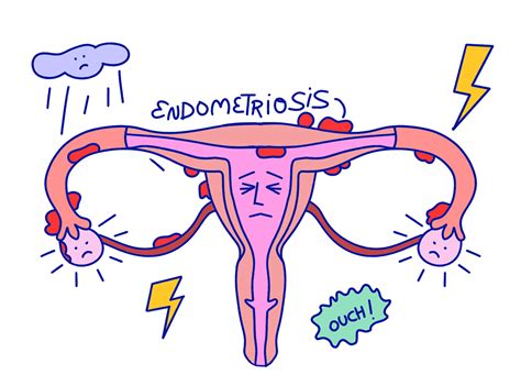 Sex Education Illustrations Behance