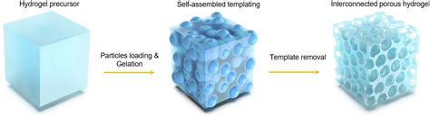 Highly Elastic Interconnected Porous Hydrogels Through Self‐assembled