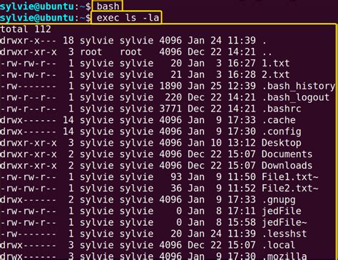The “exec” Command In Linux 8 Practical Examples