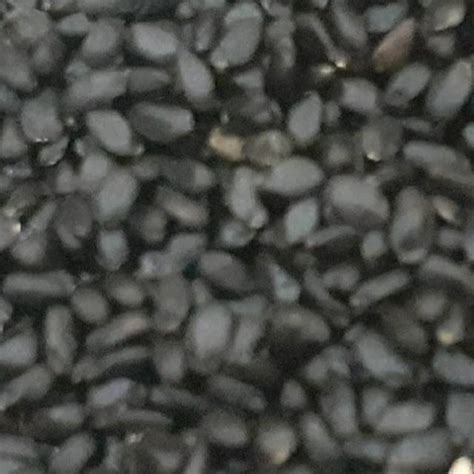 Biji Selasih Super Premium Gram Biji Selasih Lazada Indonesia