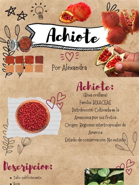 Achiote Pdf