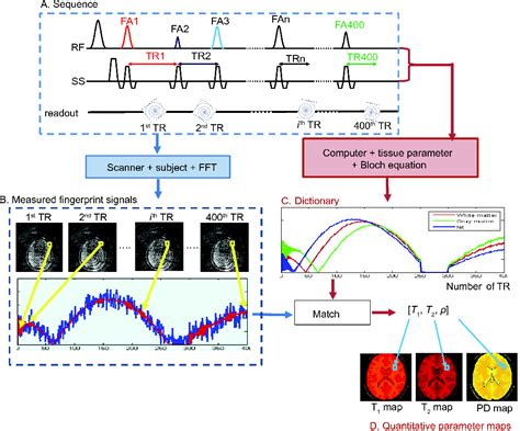 Figure 1 From The Technique Of Magnetic Resonance Fingerprinting And Its Latest Development