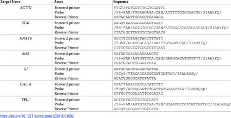 The Sequence Of Primersprobes Used For Qpcr Analysis Download