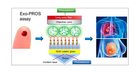 Simultaneous Detection Of Tumor Derived Exosomal Protein Microrna Pairs With An Exo Pros